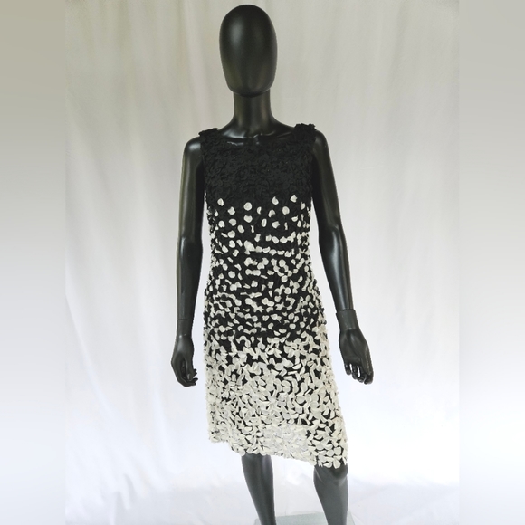 Cartise | Dresses | Cartise Black White Dress | Poshmark